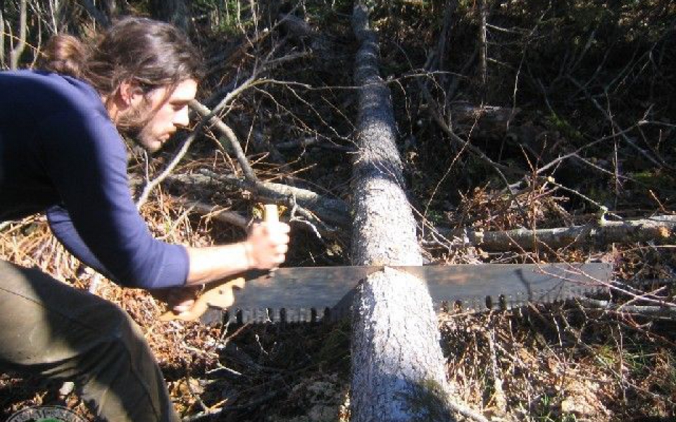 Wilderness Bushcraft Semester | Professional Instructor & Guide Training