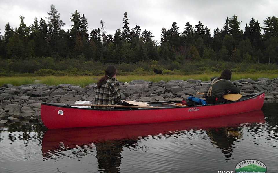 Wilderness Bushcraft Semester | Professional Instructor & Guide Training